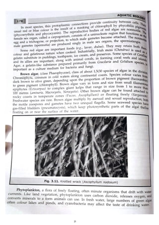 unit 3 Marine biology notes for 3rd sem generic | PDF