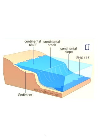 unit 3 Marine biology notes for 3rd sem generic | PDF