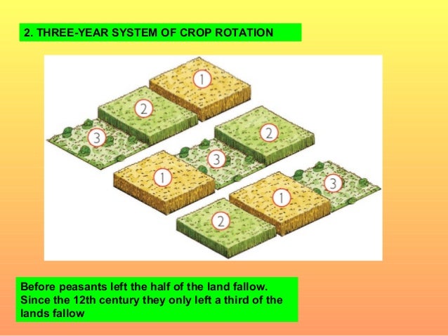Middle Ages Three Field Crop Rotation