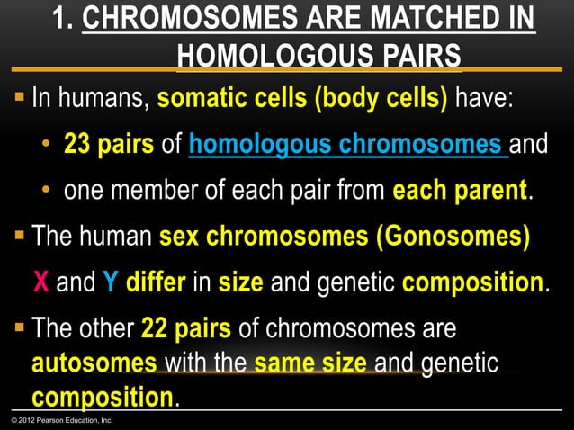 Unit 3 meiosis | PPT