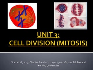 Unit 3 mitosis | PPT