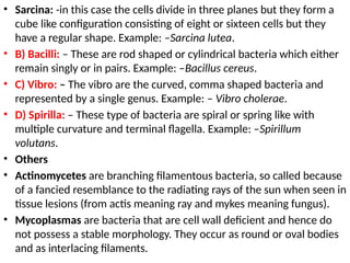Unit 3 Morphological classification of bacteria | PPTX