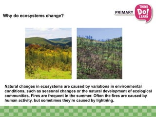 Unit 3 Natural Science | PPT