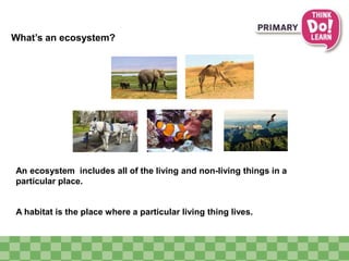 Unit 3 Natural Science | PPTX