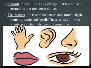 Our senses and nervous system | ODP | Brain and Nervous System ...