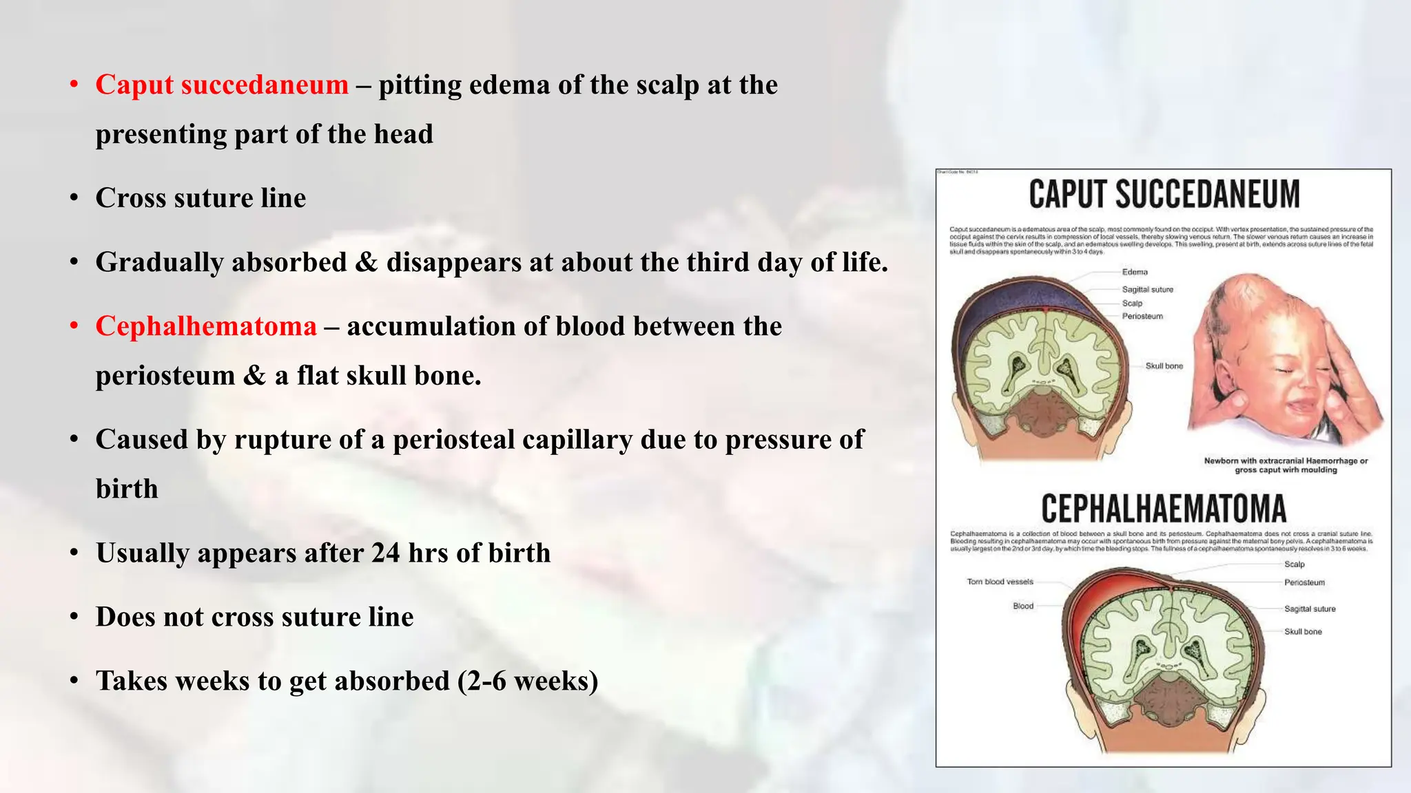 Unit III, Nursing care of a neonate PART 1.pptx