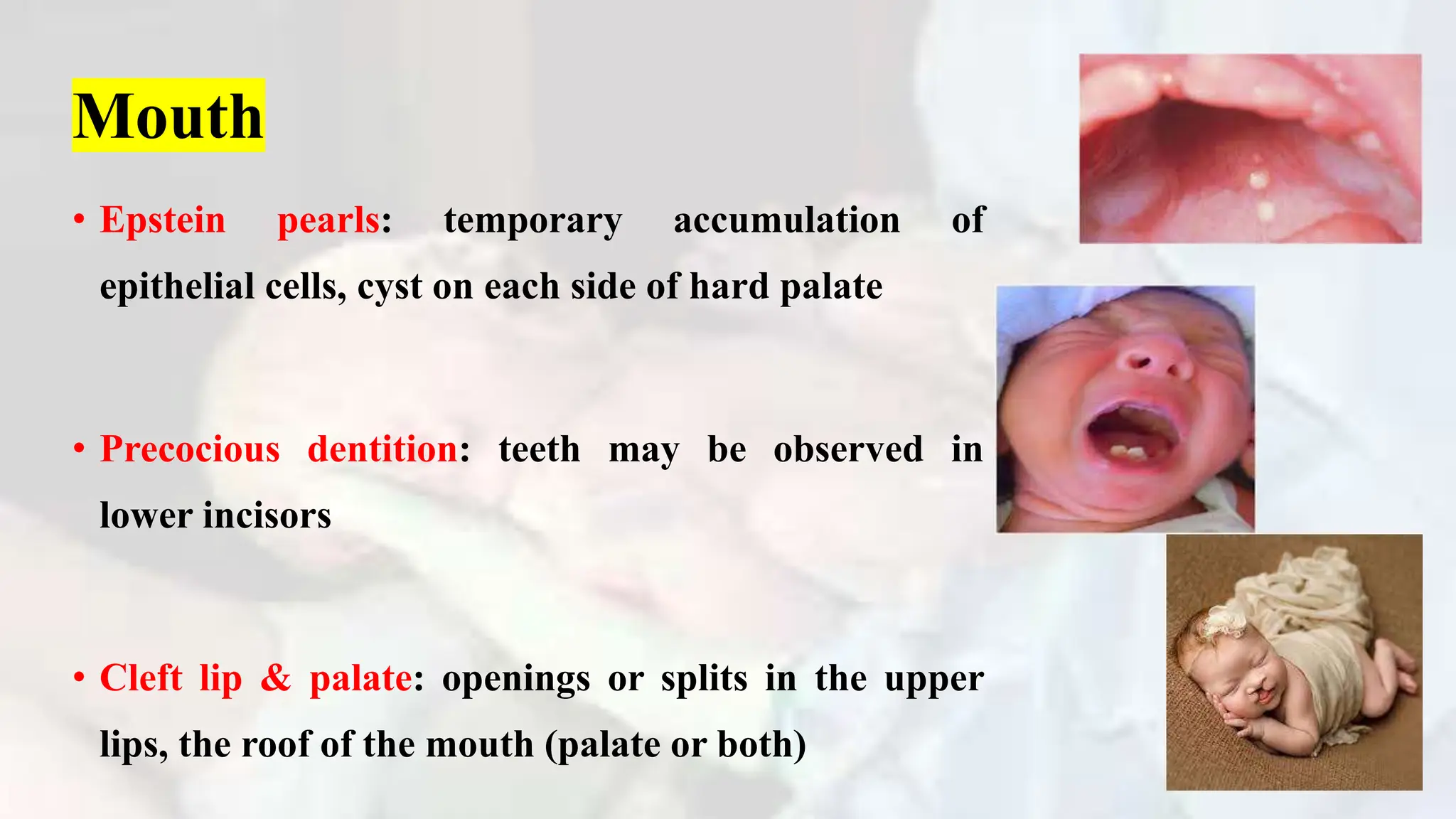 Unit III, Nursing care of a neonate PART 1.pptx