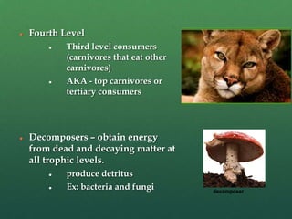 Biology 1 Unit 3 notes | PPTX