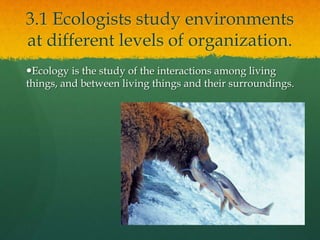 Biology 1 Unit 3 notes | PPTX