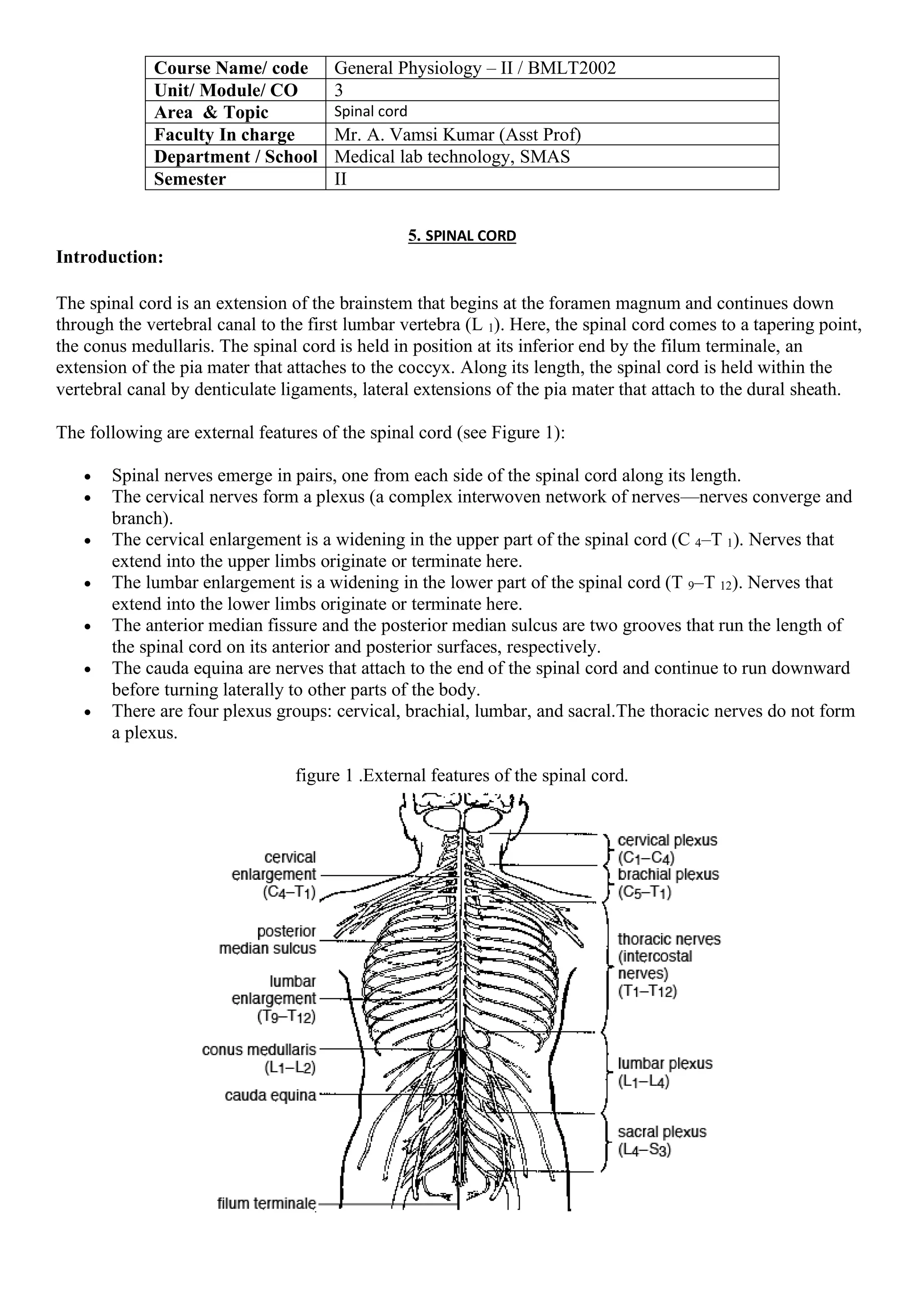 Nervous system Physiology notes | PDF