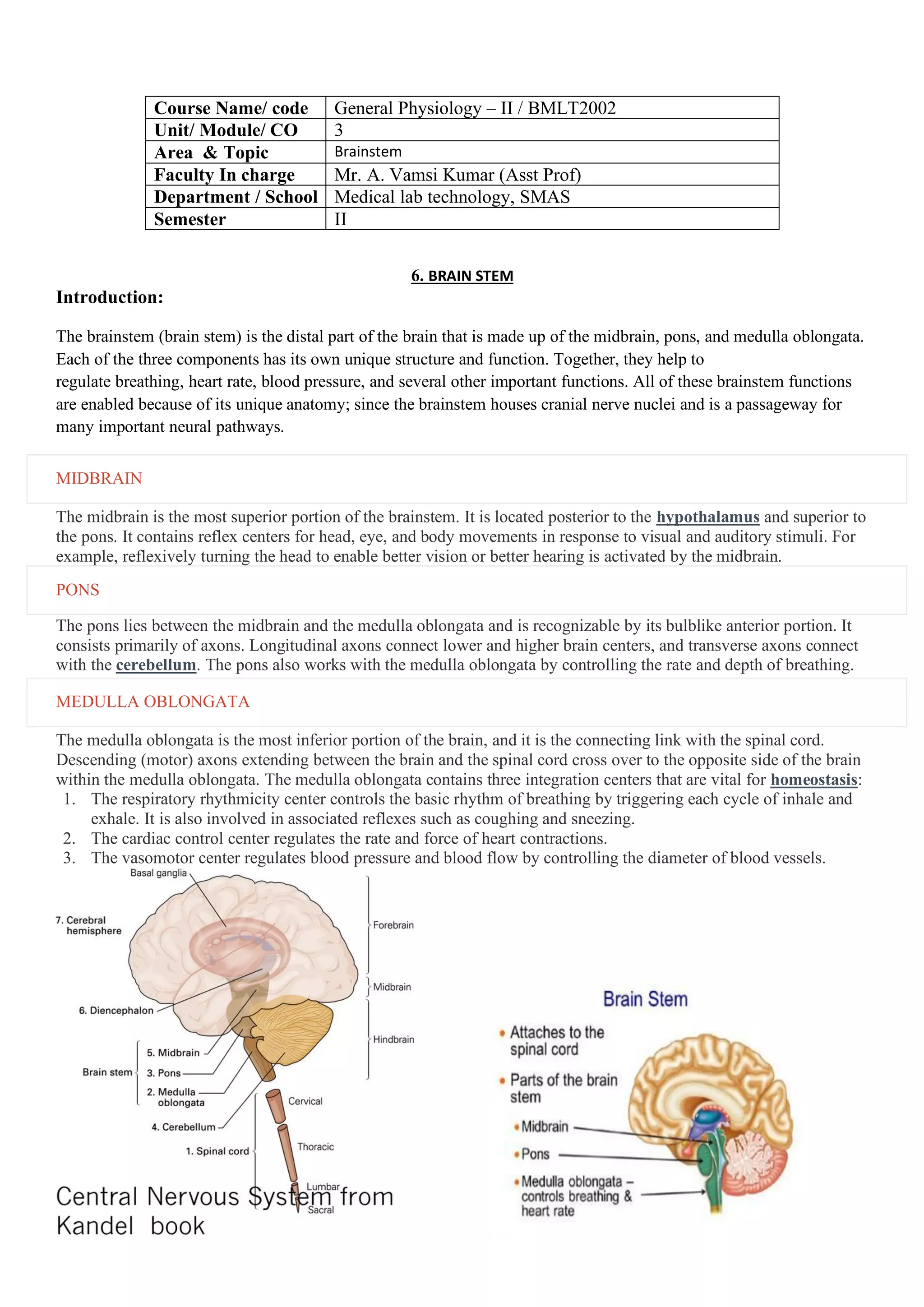 Nervous system Physiology notes | PDF