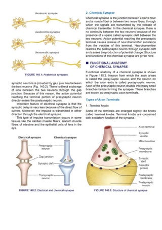 Nervous system Physiology notes | PDF