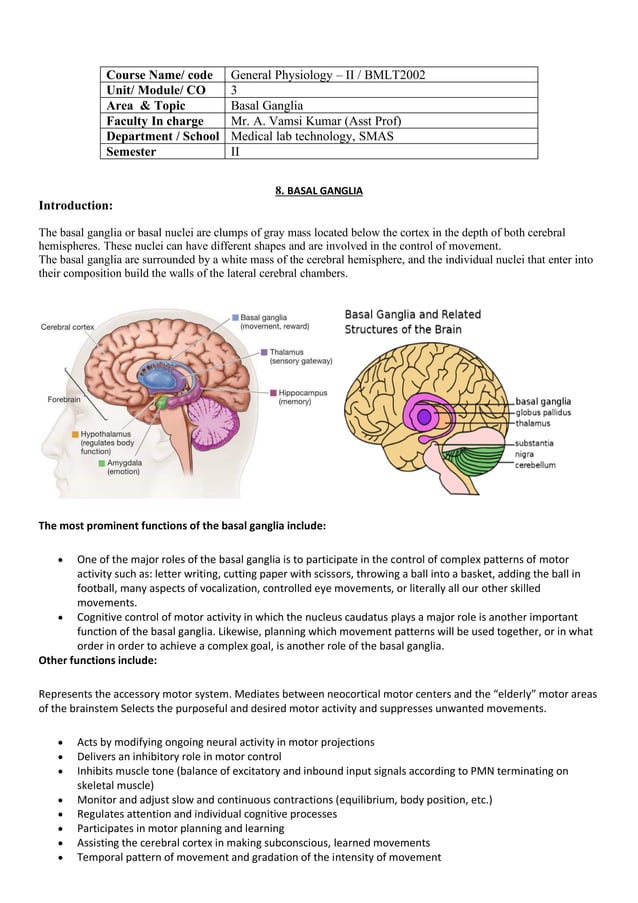 Nervous system Physiology notes | PDF