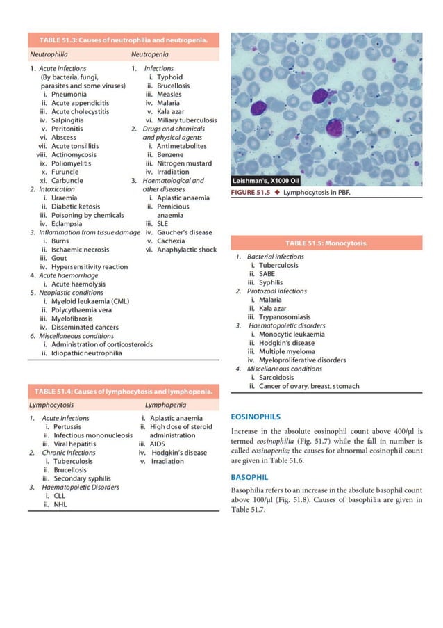 Leukopoisis and WBC disorders | PDF