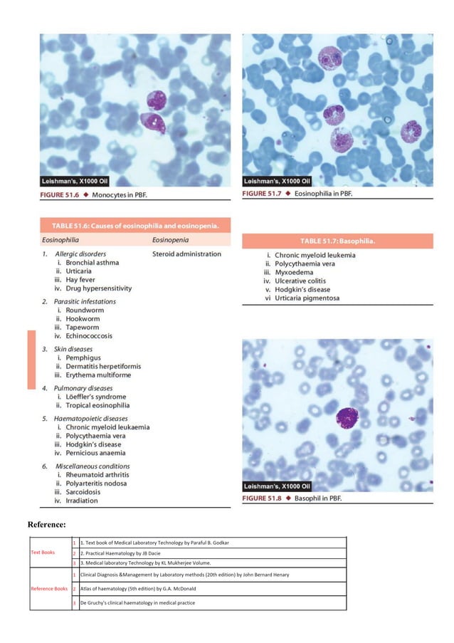 Leukopoisis and WBC disorders | PDF