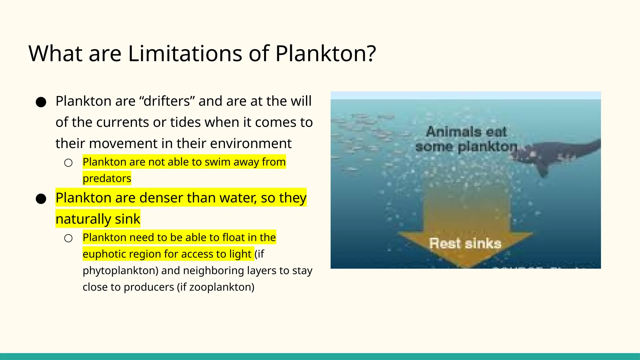 Unit 3 Notes_ Plankton and Producers.pptx