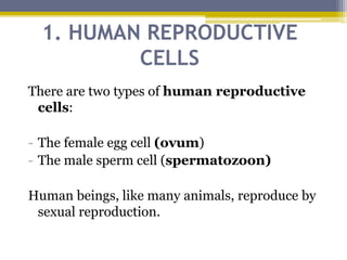 UNIT 3. REPRODUCTION | PPTX | Infertility | Reproductive Health