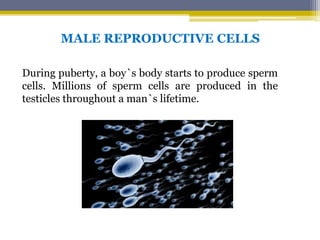 UNIT 3. REPRODUCTION | PPTX | Infertility | Reproductive Health