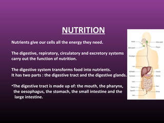 Unit 3 nutrition danae s | PPT