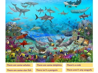 Unit 3 ocean animals | PPT