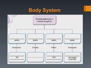 Unit 3 - Octavo Basico (Human Body Systems) | PPT