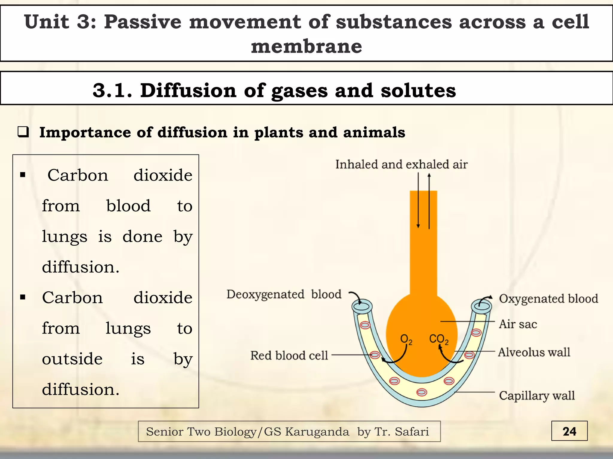 Unit 3 Passive movement of substances.pdf