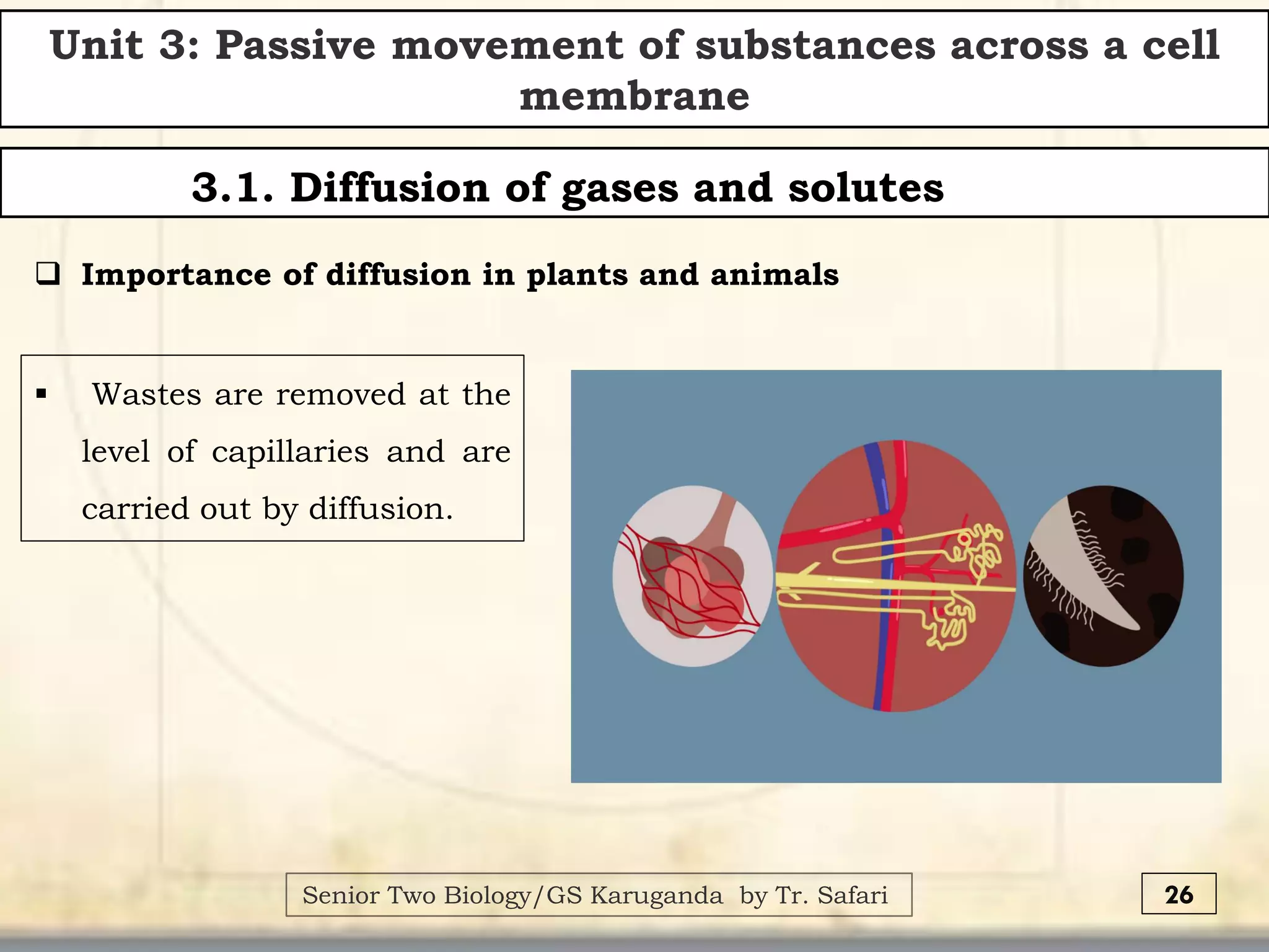 Unit 3 Passive movement of substances.pdf