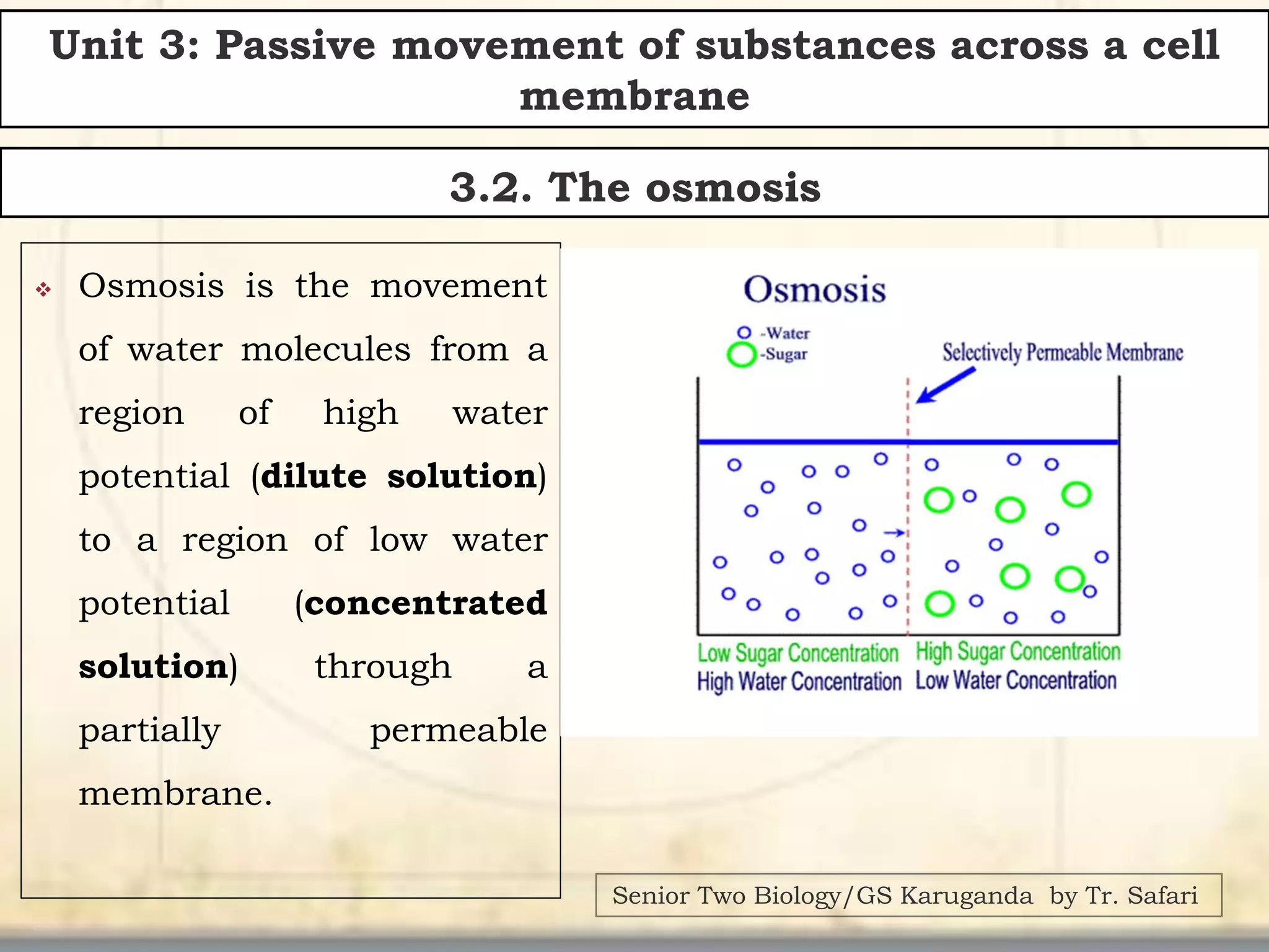 Unit 3 Passive movement of substances.pdf