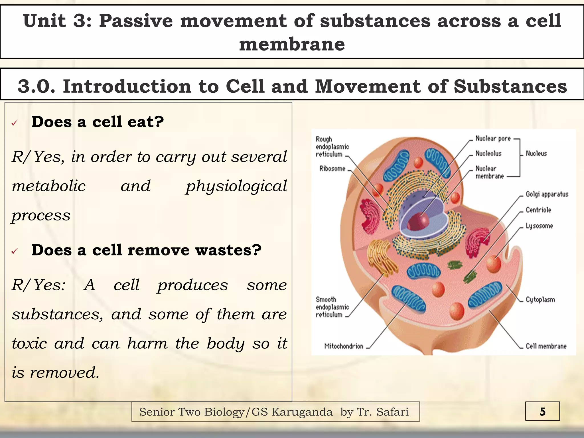 Unit 3 Passive movement of substances.pdf