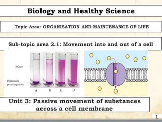 Unit 3 Passive movement of substances.pdf