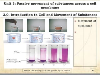 Unit 3 Passive movement of substances.pdf