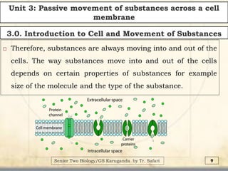 Unit 3 Passive movement of substances.pdf