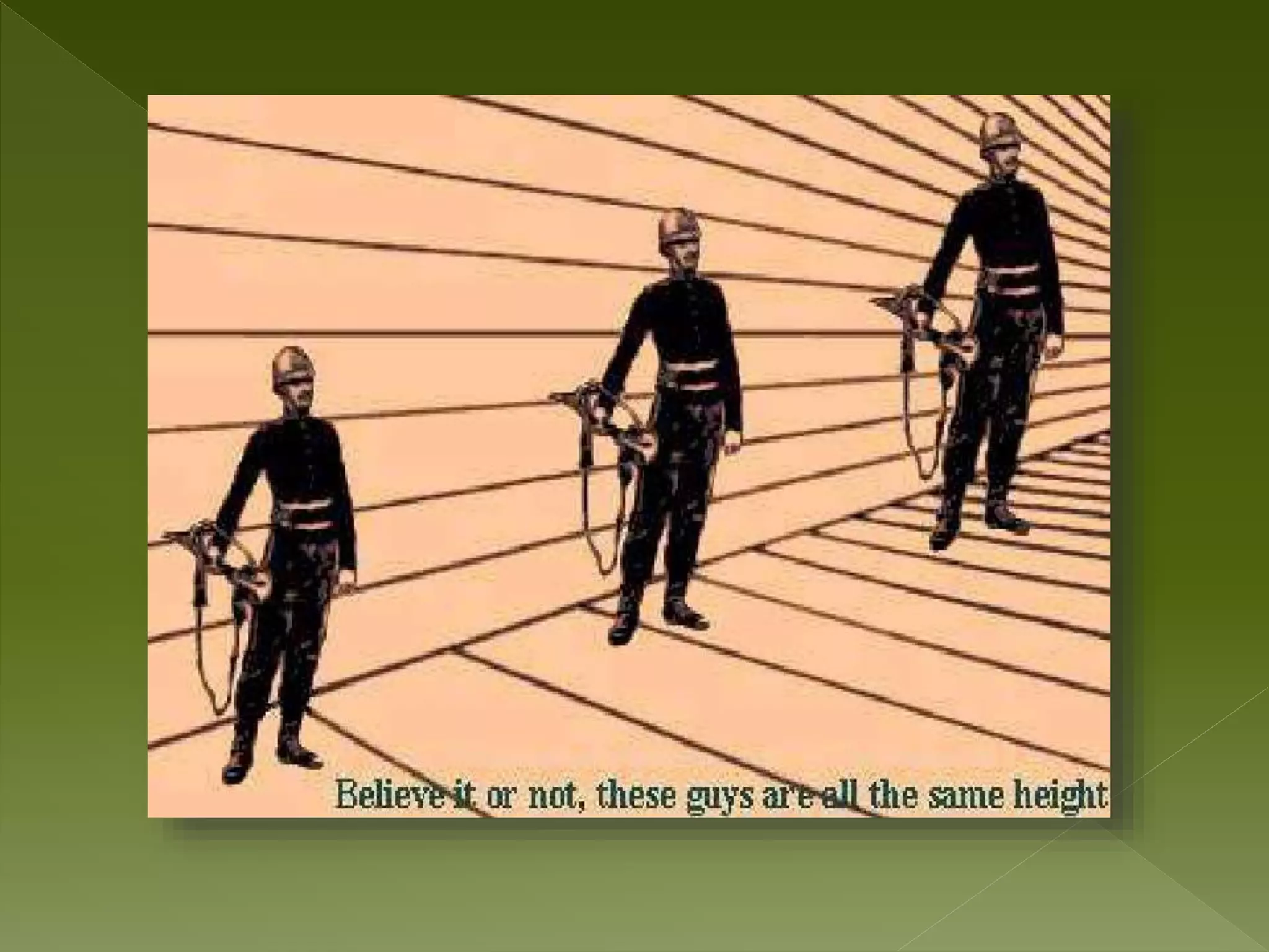 Perception (Psychology for Nurses) | PPTX