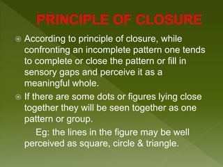 Perception (Psychology for Nurses) | PPTX