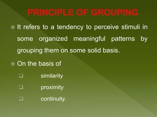 Perception (Psychology for Nurses) | PPTX