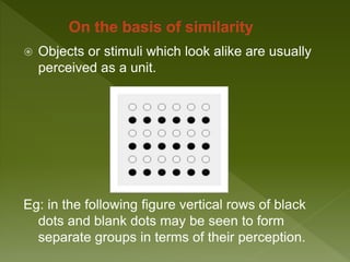 Perception (Psychology for Nurses) | PPTX