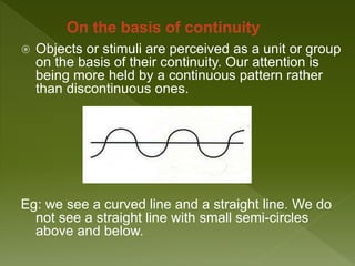 Perception (Psychology for Nurses) | PPTX