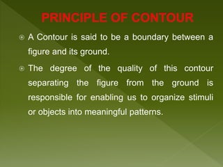 Perception (Psychology for Nurses) | PPTX