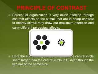 Perception (Psychology for Nurses) | PPTX