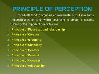 Perception (Psychology for Nurses) | PPTX