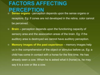 Perception Psychology