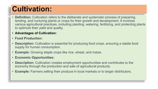 Cultivation, collection, processing and storage of crude drugs | PPTX