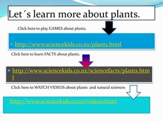 Unit 3 plants | PPT