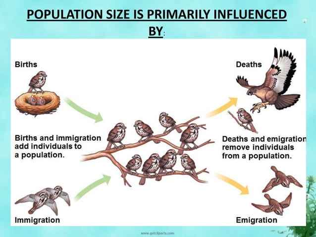 Unit 3 population ecology | PPT