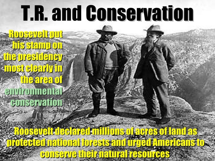 Unit 3 Powerpoint the Progressive Era