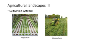 Unit 3 primary sector | PPT