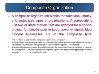 Unit 3 Project Organization.pptx related to MBA flied | PPT