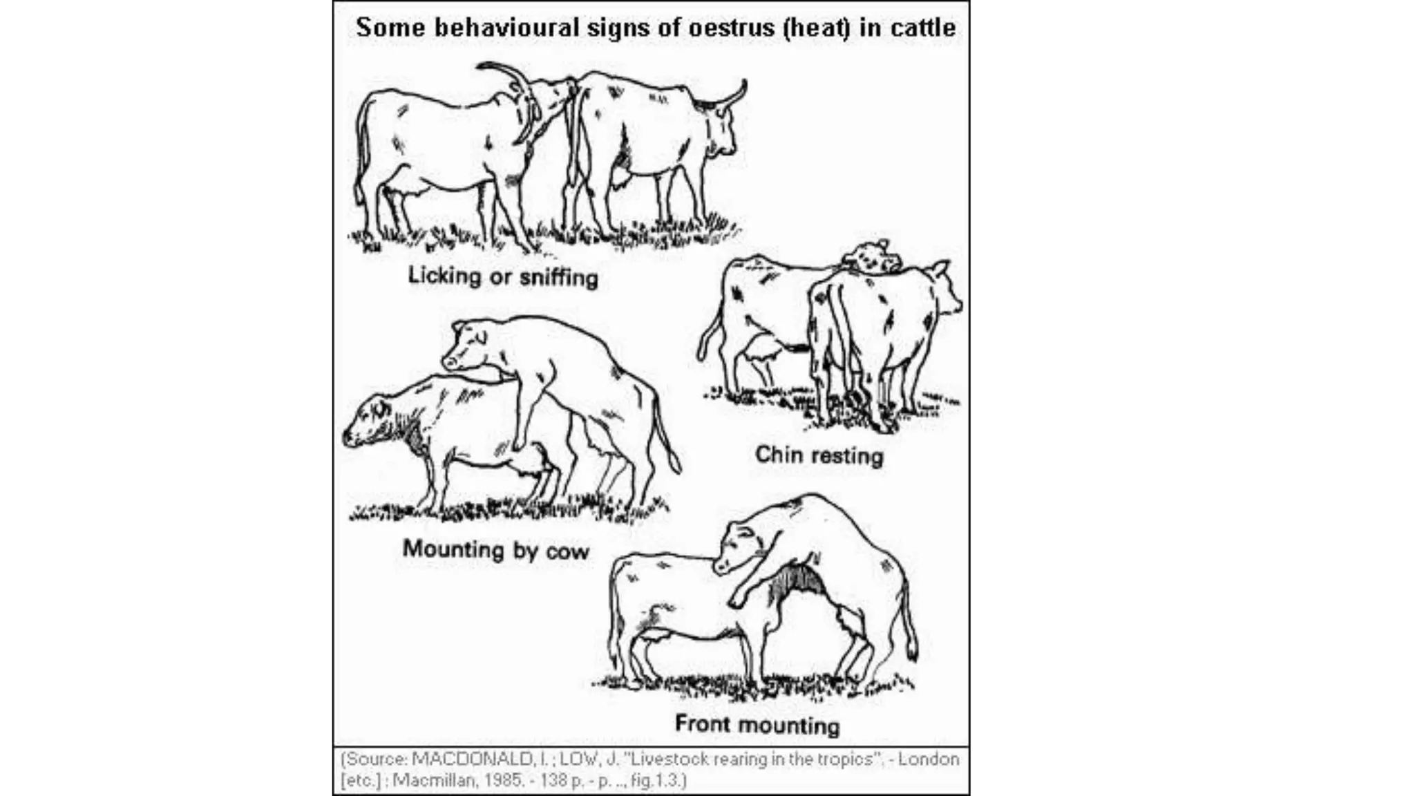 Unit 3 Reproduction of Livestock.pptx