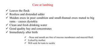 Unit 3 Reproduction of Livestock.pptx
