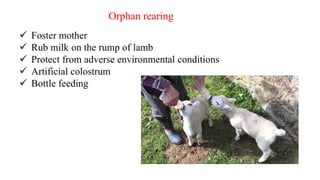 Unit 3 Reproduction of Livestock.pptx